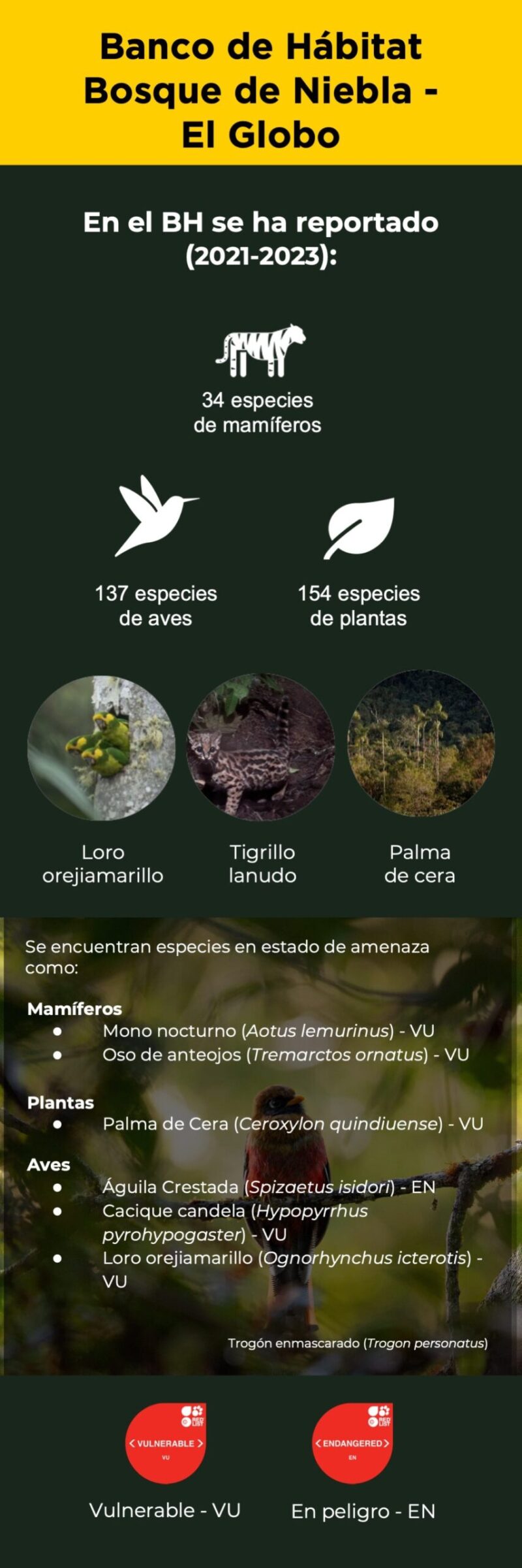 Tebu – El Globo – Tebu